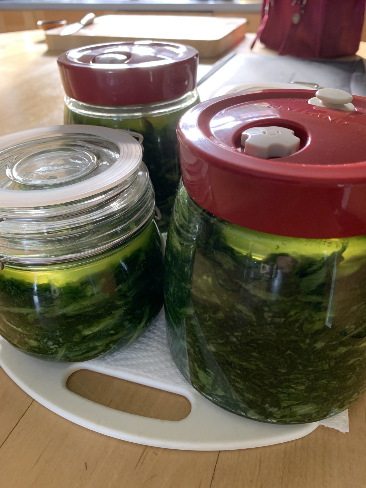 Wild Garlic season! - The Fermented Lady